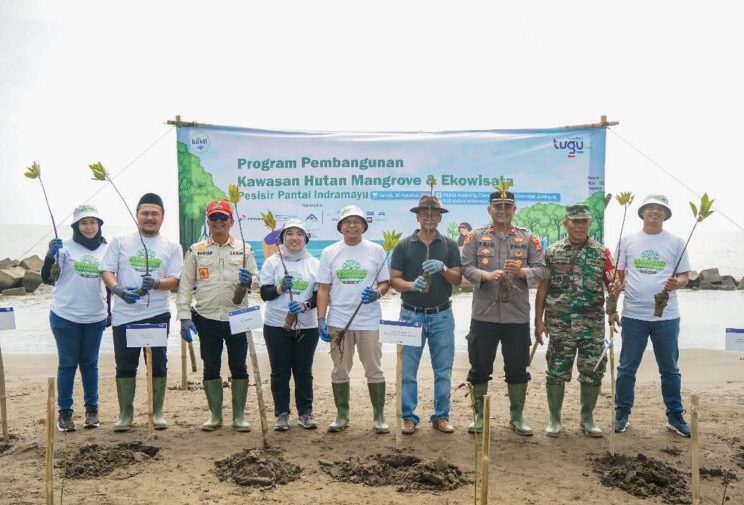 Tugu Insurance Tanam Mangrove di Indramayu untuk Jaga Keseimbangan ...